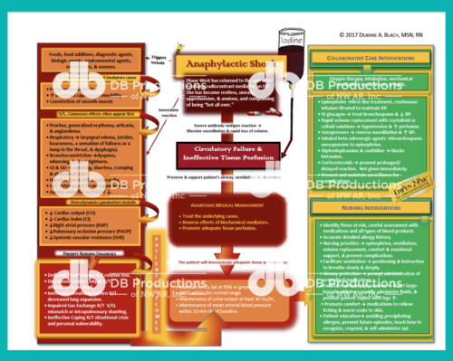 Concept Maps Archives | Deanne Blach - DB Productions Concept Maps Archives | Deanne Blach - DB Productions