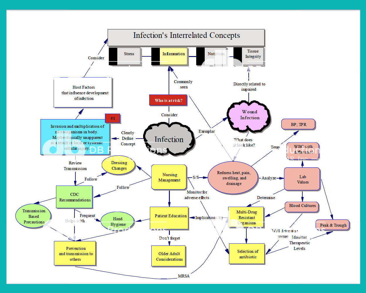 Infection Concept Map | Deanne Blach - DB Productions Infection Concept Map | Deanne Blach - DB Productions