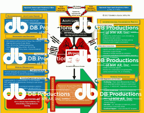 Concept Maps Archives | Deanne Blach - DB Productions Concept Maps Archives | Deanne Blach - DB Productions