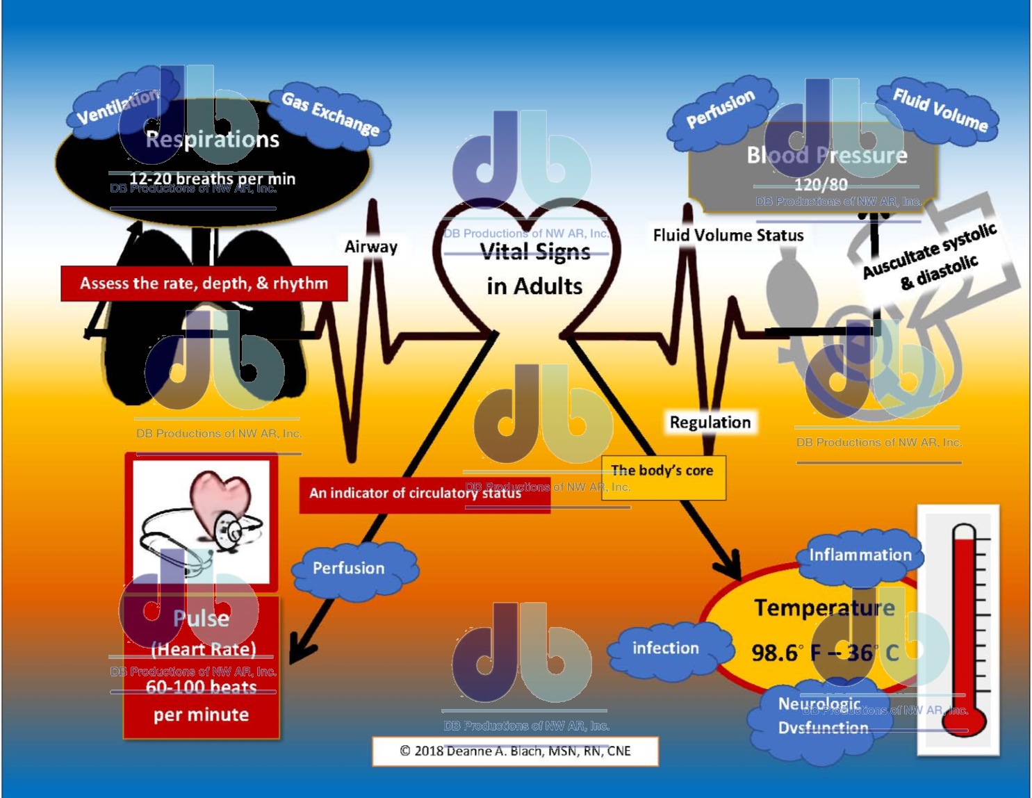 Vital Signs Concept Map | Deanne Blach - DB Productions Vital Signs Concept Map | Deanne Blach - DB Productions